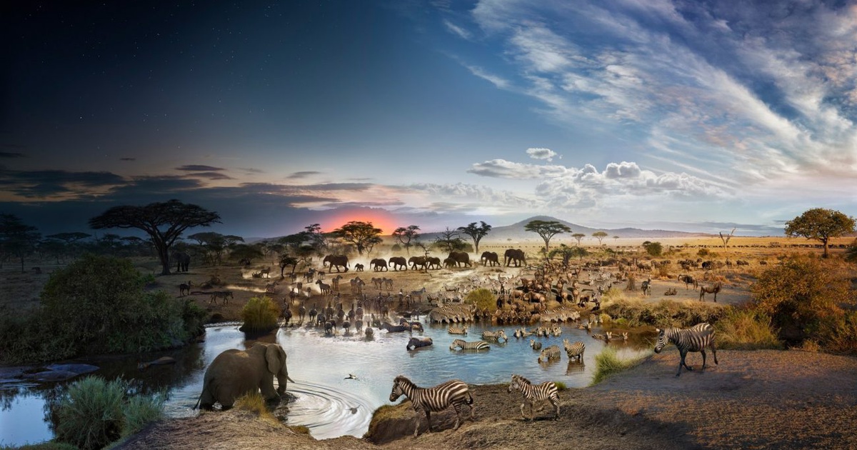 Capturing Time: The Day to Night Series | Guy Hepner